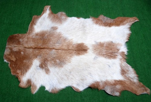 GOAT Western taxidermy Hide Rug Natural Pattern Fur Goat Hide Rode SA ...