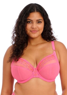 ELOMI - MATILDA UNDERWIRE PLUNGE BRA Wild Cherry NEW Sz 22DD RRP $89.95 | eBay Australia