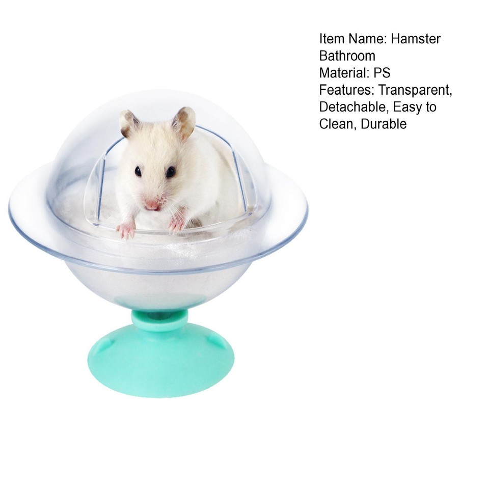 Hamster Relaxation Space Stress Relief for Hamsters Transparent ...