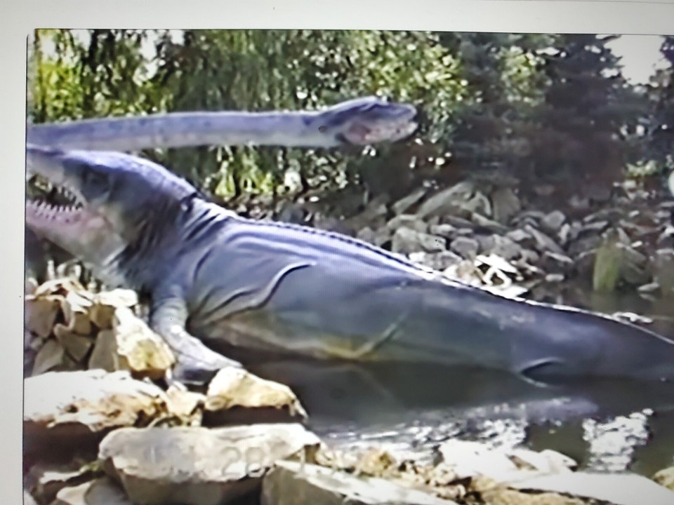 Dinamation Anamatronic Life-Size Dinosaur Props Statues Tylosaurus Sea ...