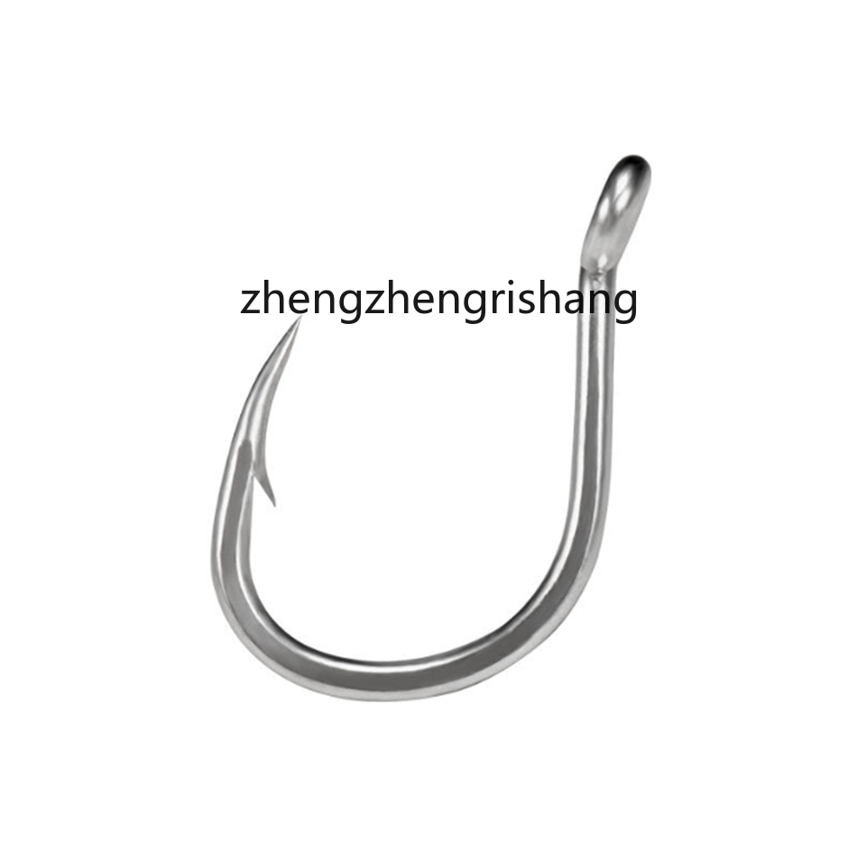 Stainless Steel Fishing Hook 2X Strong Live Bait Circle Hook Saltwater ...