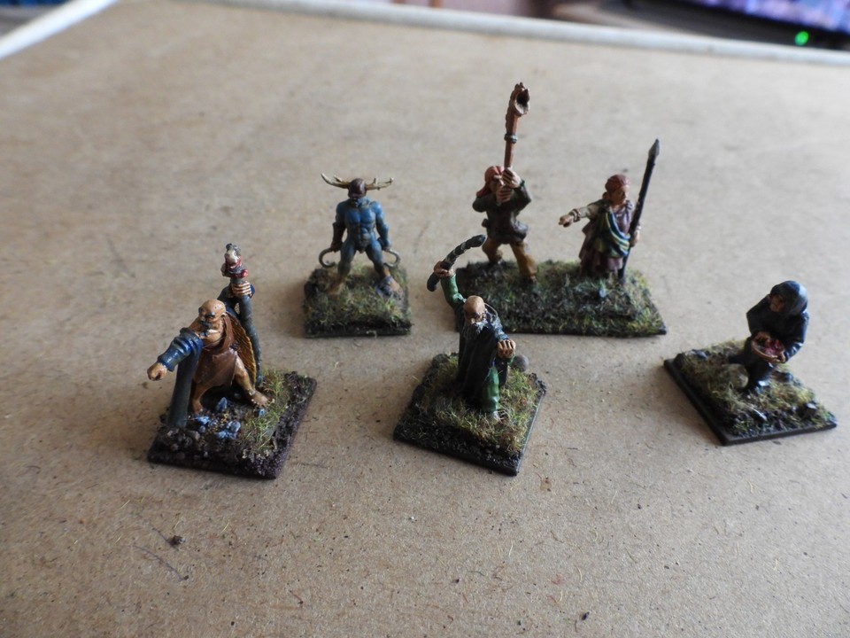 28mm Hail Caesar painted metal wargaming figures Ancient Britons Boudica &Druids | eBay UK