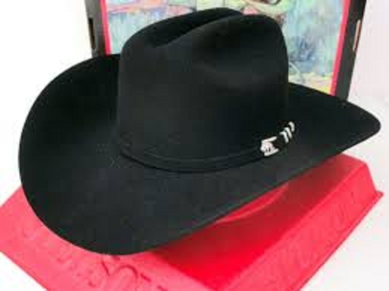 STETSON LARIAT 5X FUR FELT COWBOY HAT | eBay