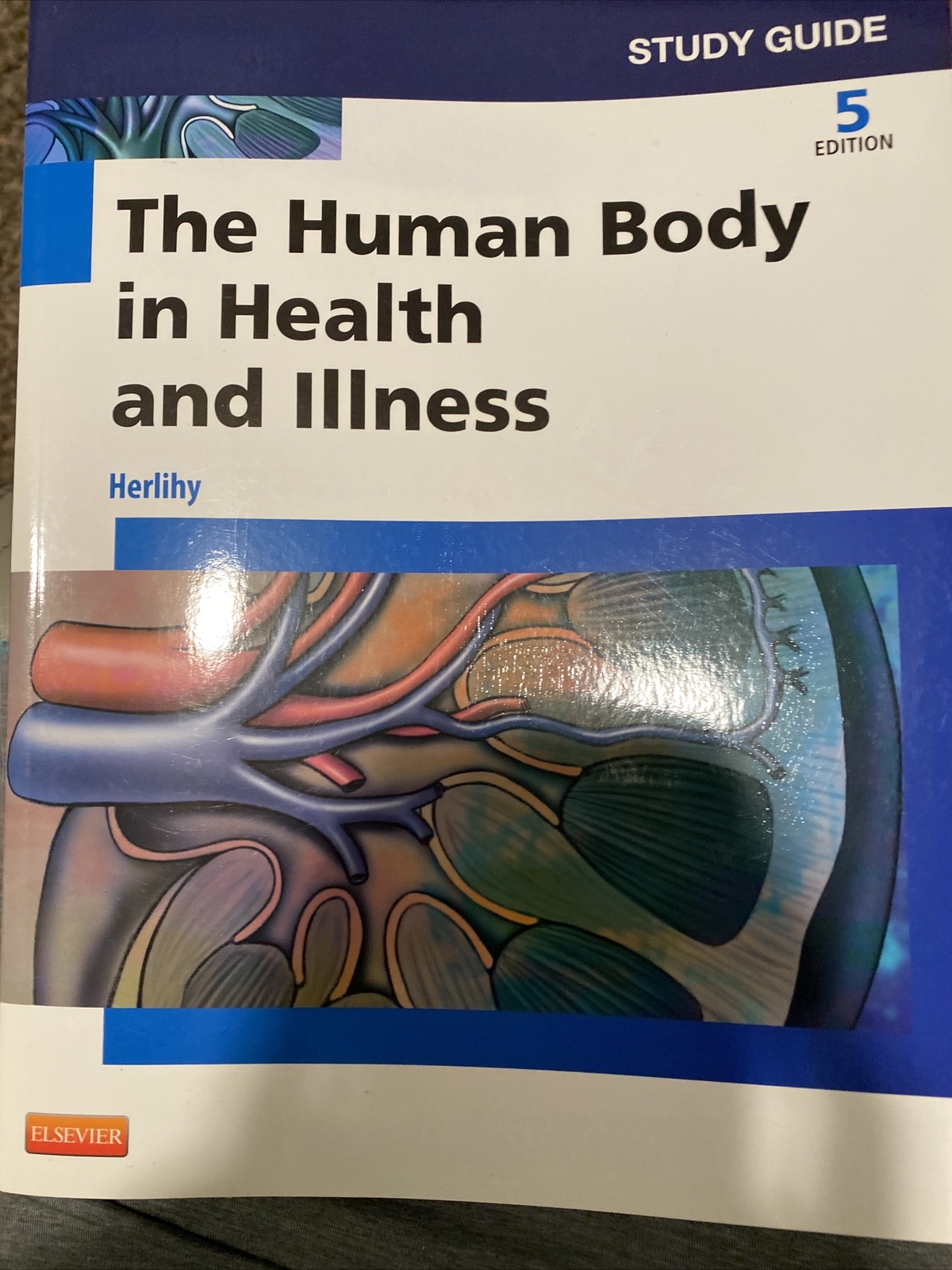 Study Guide for the Human Body in Health and Illness by Barbara Herlihy ...