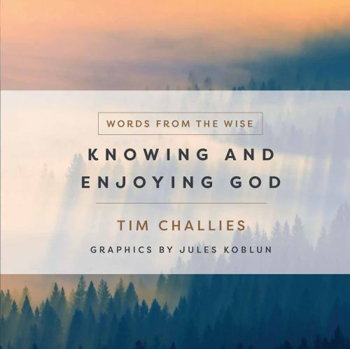 Knowing and Enjoying God by Challies, Tim 9780736983853| eBay