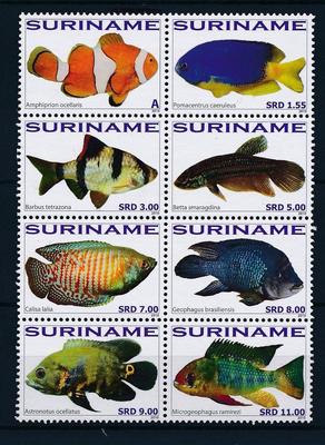[SU1756] Suriname Surinam 2010 Marine Life Fish MNH | eBay