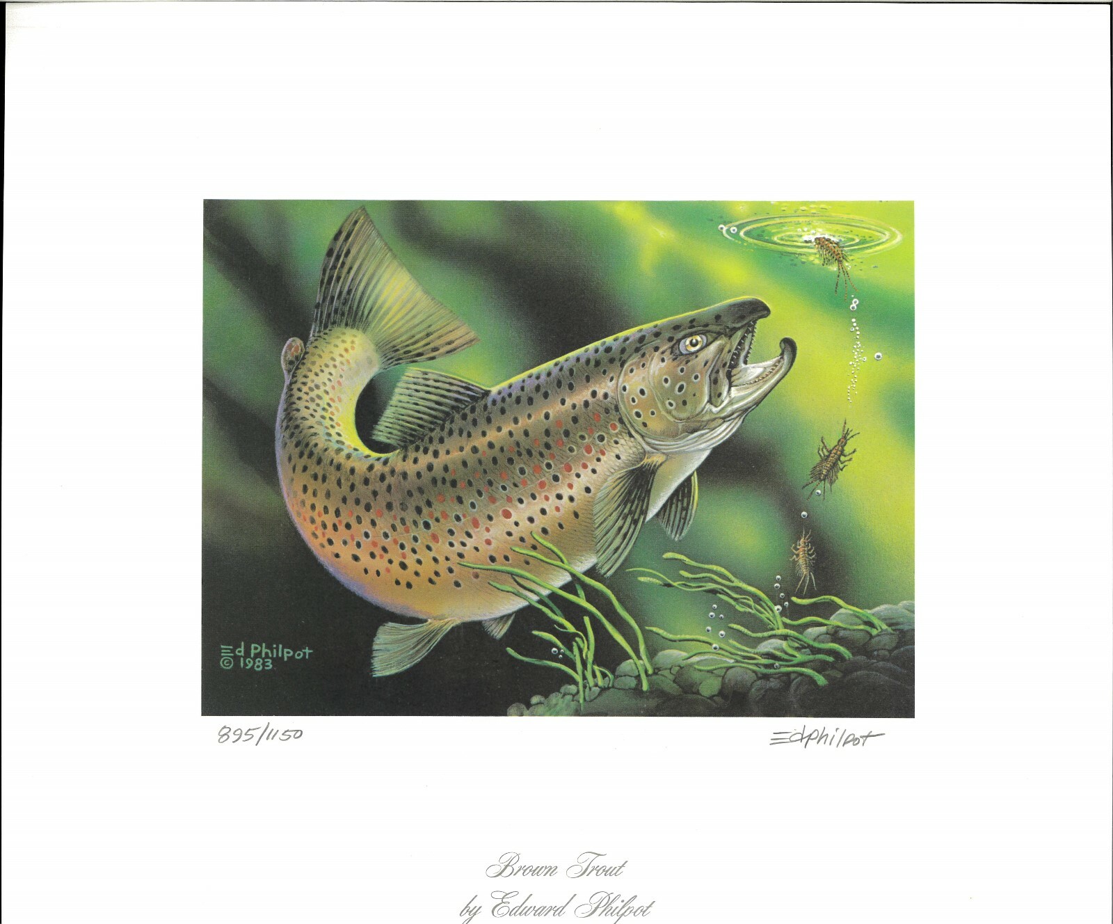 MINNESOTA 1983 STATE TROUT STAMP PRINT by Edward Philpot W/STAMP | eBay