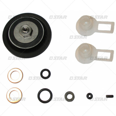 Delphi DP200/210/DPC PUMP BOOST OVERH/KIT Ref 7135-277F = 7135-277D | eBay