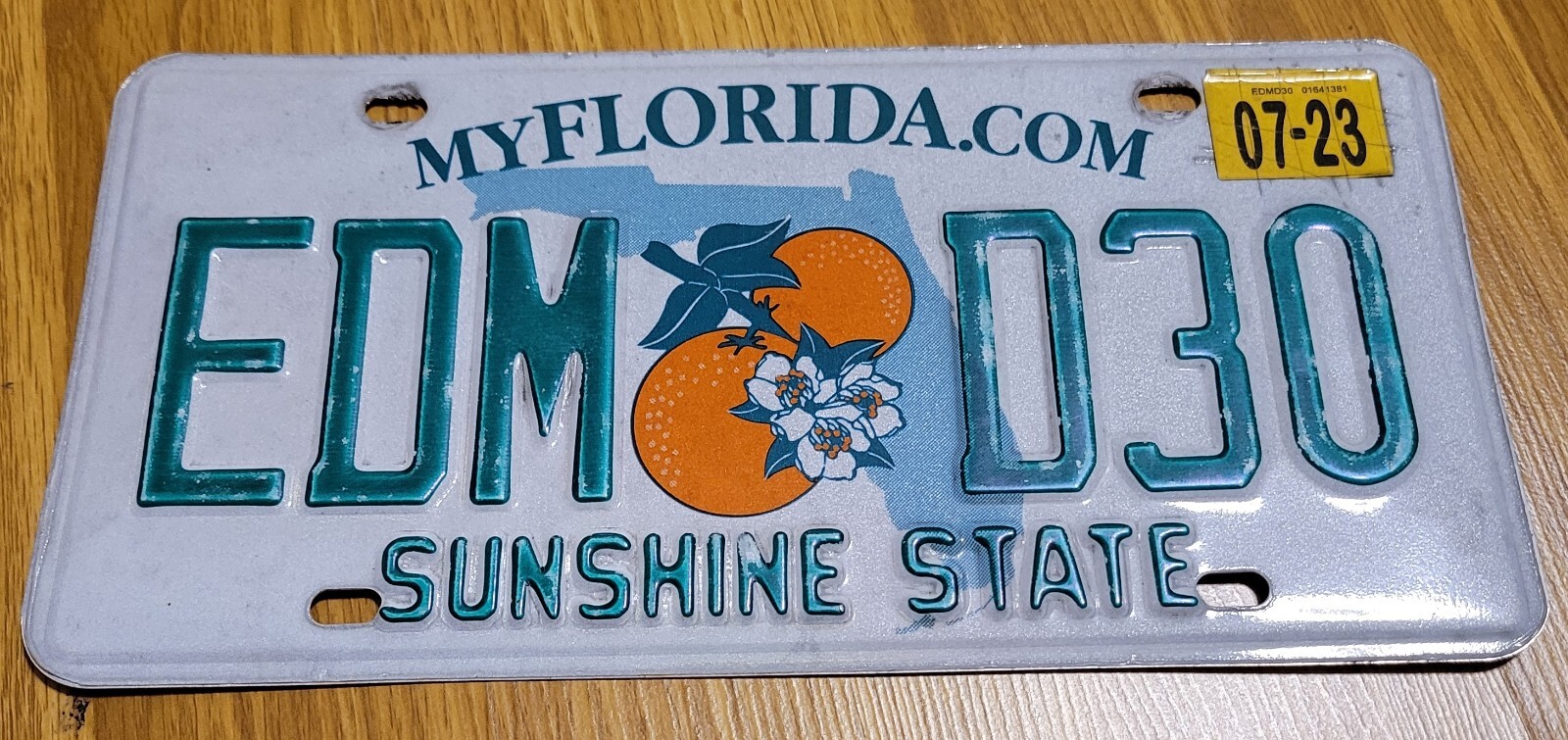 FLORIDA SOUVENIR SUNSHINE STATE LICENSE PLATE | eBay