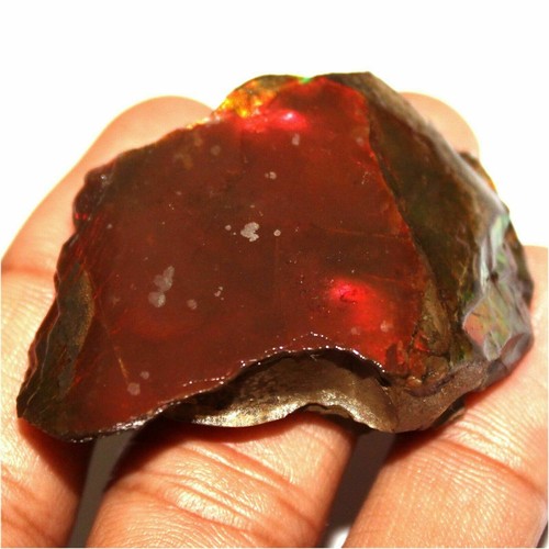 Stunning Red Power Ammolite Rock Rough 134.50Cts Earth Mineral Gemstone ...