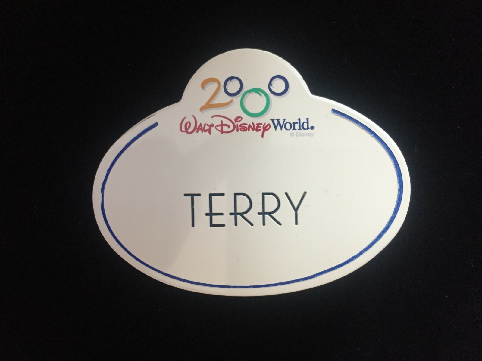 Disney WDW Cast Member Name Tag ID Badge Pin 2000 Terry | eBay