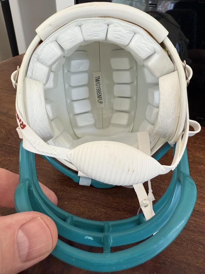 Miami Dolphins Multi-Signed Mini-Helmet: Mandich, Cefalo, Rose, Allen ...