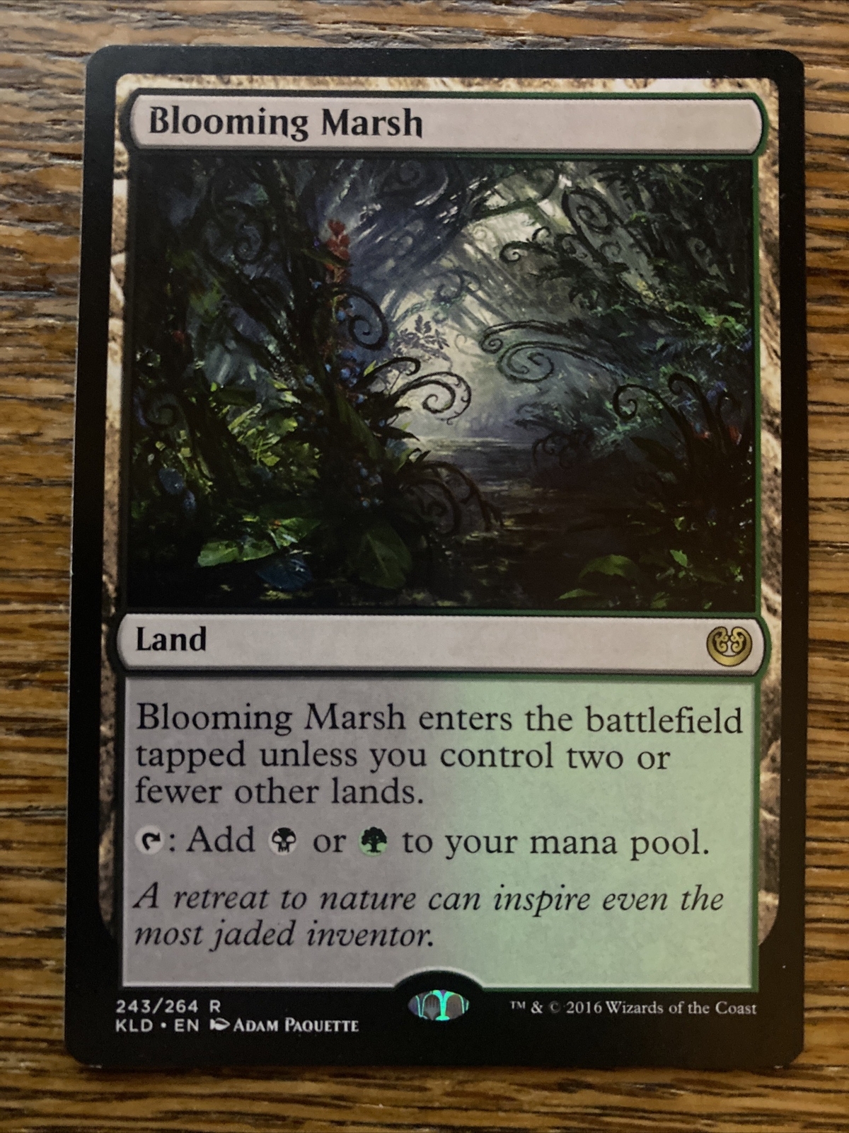 MTG Blooming Marsh Kaladesh 243/264 Regular Rare | eBay