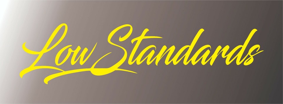 Low Standards Decal Sticker - JDM Stance Low Drift Slammed | eBay