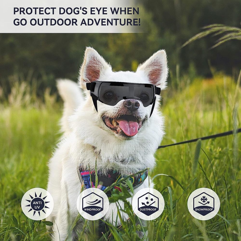 Pet Goggles Small Dog Doggles UV Sunglasses Fashion Glasses Eye Wear ...