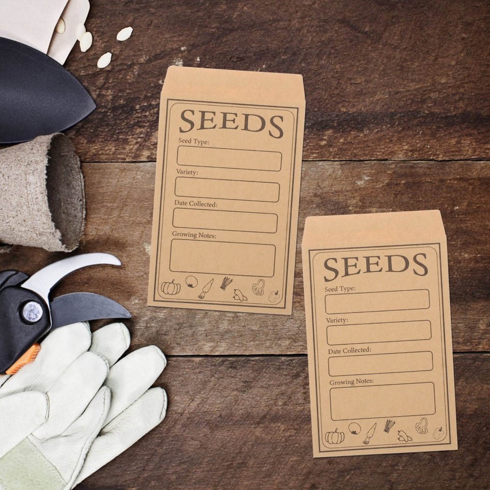 50Pcs Sealing Envelopes Packets Paper Coins Packets | eBay Australia