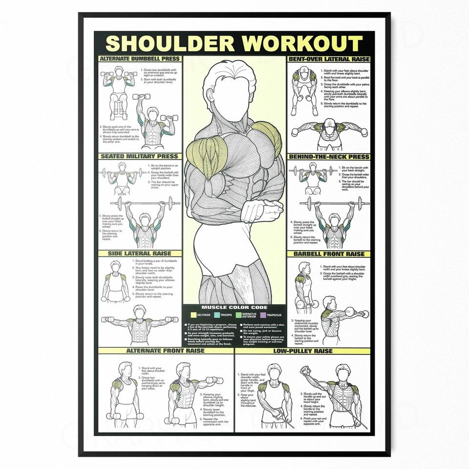 Gym Workout Poster All Body Chart Bicep, Tricep, Abs, Etc Exercises ...