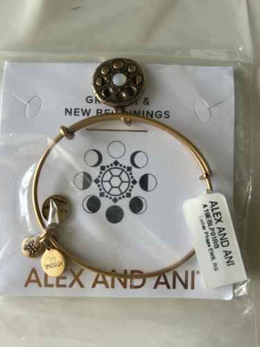 Alex and Ani Moon Phase Bangle Bracelet Rafaelian Gold NEW - unopened ...