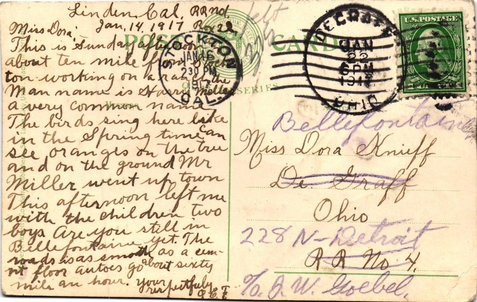 Utah State Flower Sego Lily Made in Fabric Postcard Posted 1917 | eBay