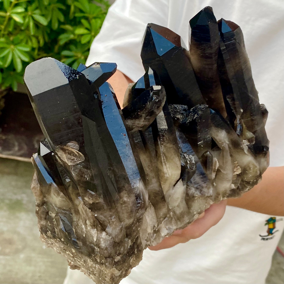 8.31LB Large Natural black Quartz Crystal Cluster Rough Specimen ...