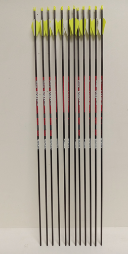 Victory Archery Vap Sport #500 Arrows Carbon Arrows Archery Target | eBay