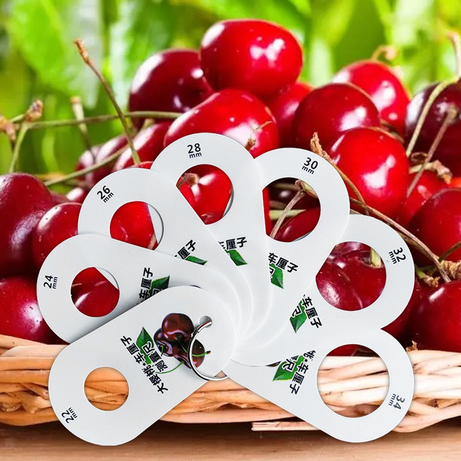 Cherry Measuring Ruler Fruit Ruler 7 Holes Diameter Gauge Standard ...