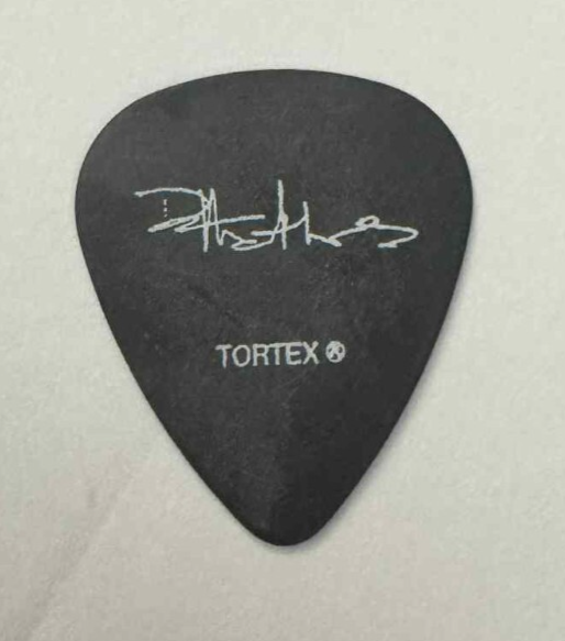 DAVE MATTHEWS BAND Signature Guitar Pick #2 Crown DMB | eBay