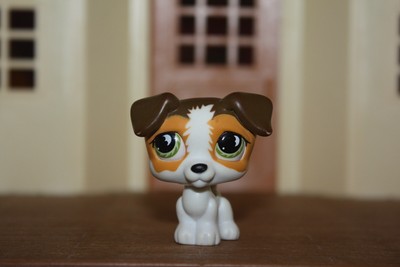 Littlest Pet Shop Jack Russell Dog #804 | eBay