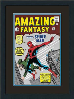 Amazing Spider Man Marvel Comic Cover Custom Gallery Framed | eBay