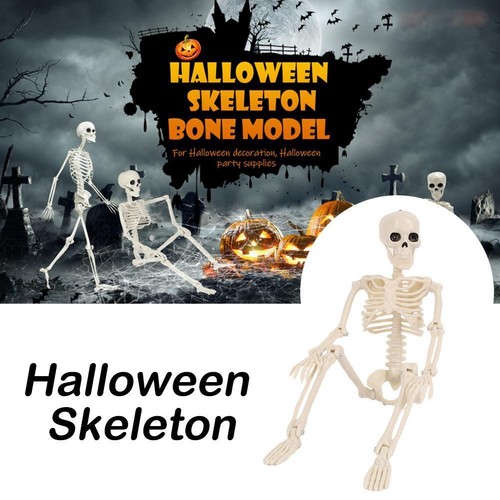 Large Poseable Human Skeleton Prop Halloween Party NEW Decoration J0Y7 ...