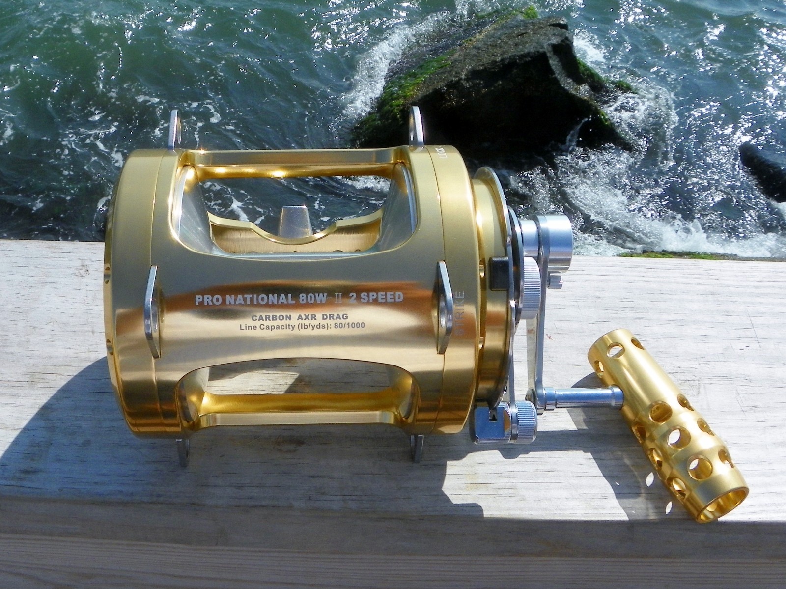 OKIAYA BLUE MARLIN PRO NATIONAL 80W-II 2 Speeds Big Game Reel Dual AXR ...