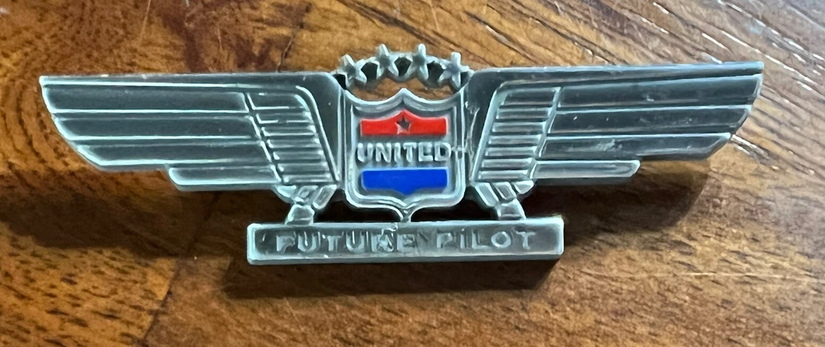 Flying Wings Pin
