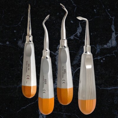 ArTLaB-2 Each Luxator Tooth Dental Elevator Root Tip Bernard Elevator ...