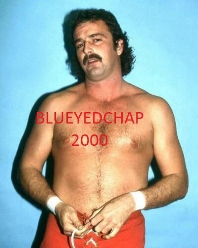 JAKE ROBERTS WRESTLER 8 X 10 WRESTLING PHOTO WWF NWA | eBay