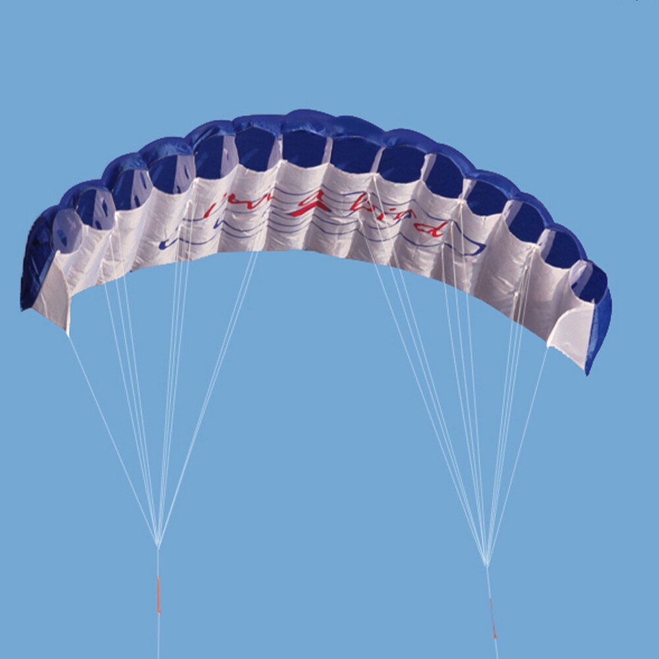 Beach Kite High Quality Flying Kites Professional Large 1.4m for Adults ...