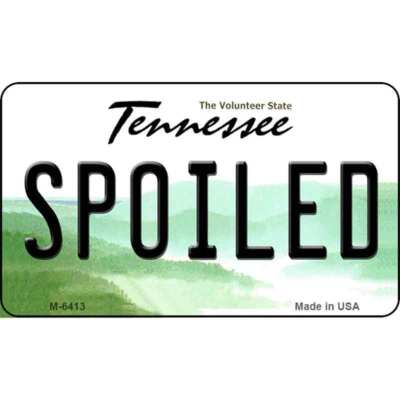 Tennessee State License Plate Tag Magnet M-6413 | eBay