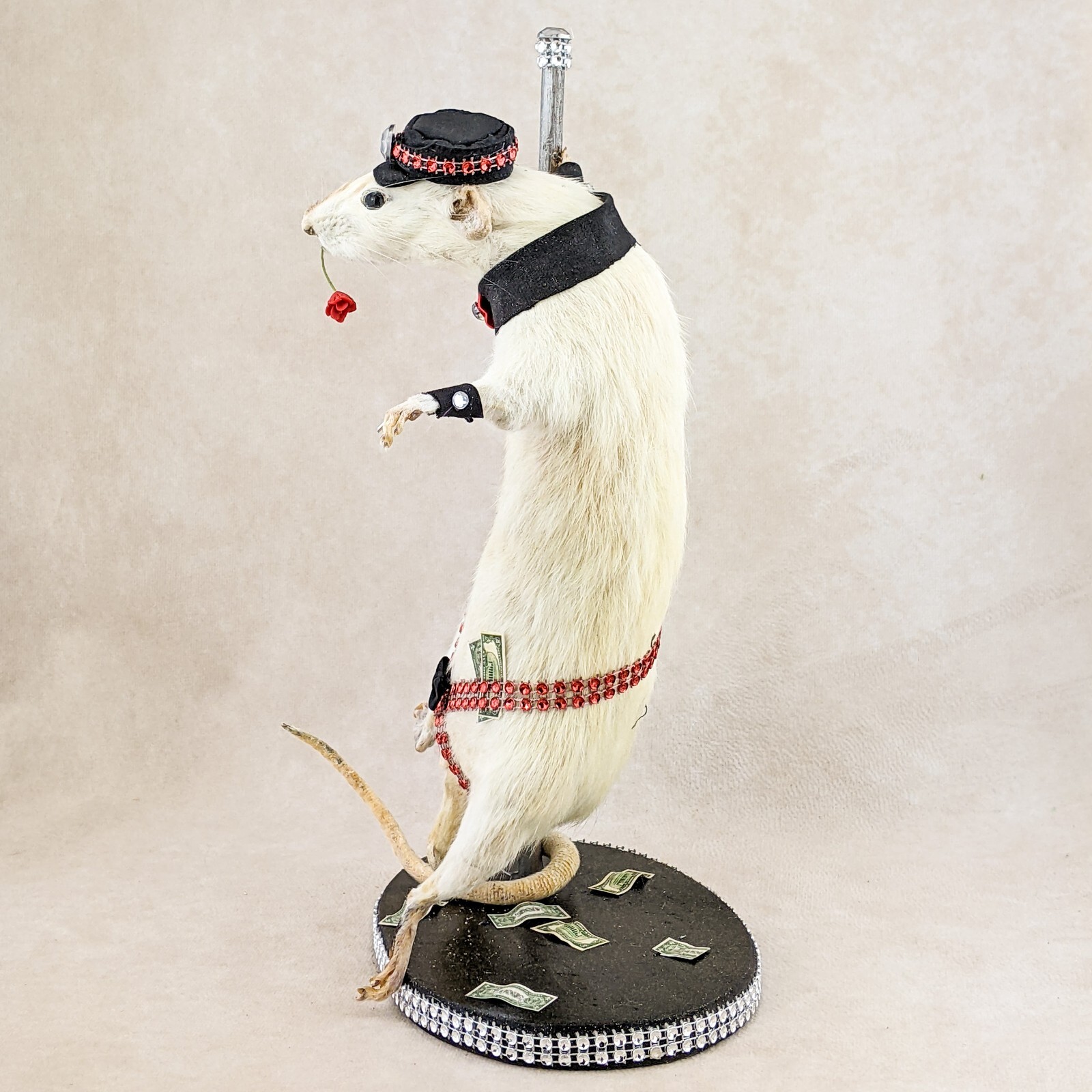 Stripper Rat Pole Burlesque Male Taxidermy Oddities Curiosities Decor ...