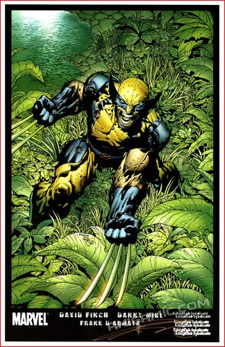 WOLVERINE David Finch ART PRINT New Avengers #5 Cover 17x11 SIGNED ...