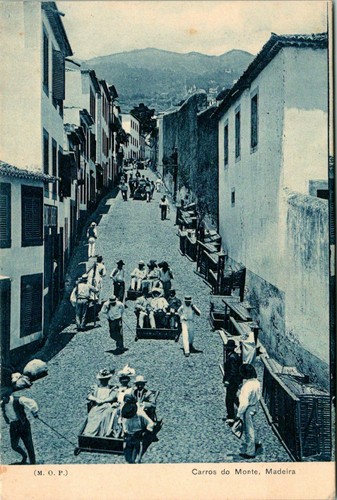Madeira Portugal Carts on Mountain Street Postcard used (23524) | eBay