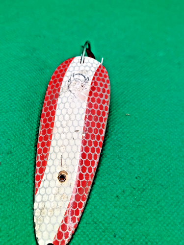 DARE DEVIL WEEDLESS SPOON | eBay