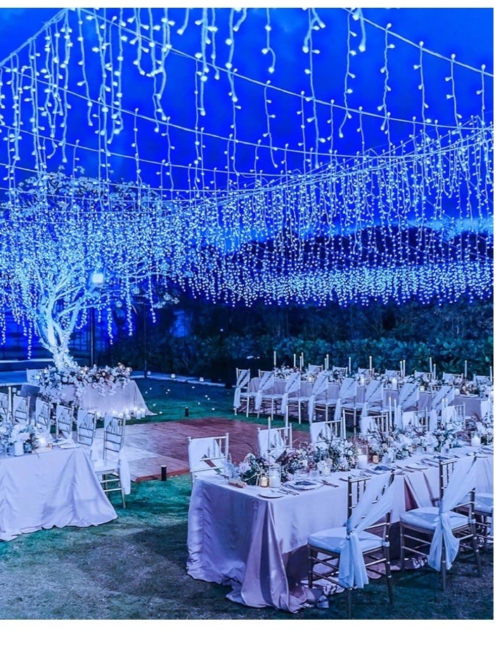 159 FT Blue Christmas Lights Outdoor, 1458 LED Waterproof Outside ...