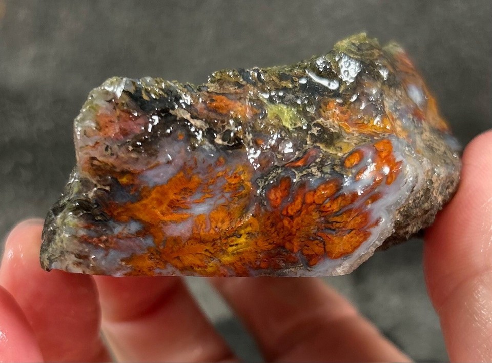 Wingate Pass Plume Agate Faced Rough - California! | eBay