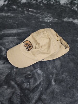 Nike Mens Tan Dad Hat Iowa Hawkeyes Adjustable Graphic Print Cap | eBay
