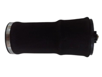 Navistar International Truck 2510652C1 AIR SPRING | eBay