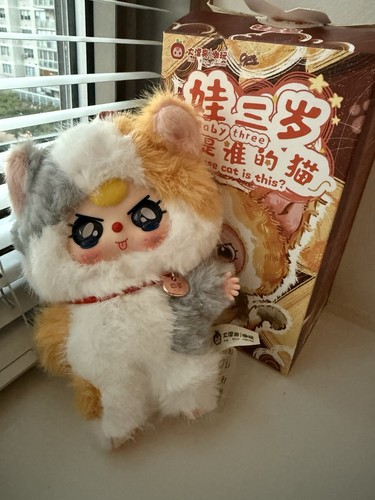 Baby Three BB3 Whose Cat Is This Calico Cat With Special Eyes Open Box ...