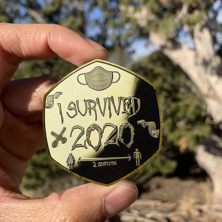 100PCS Memorial Commemorative I Survived 2020 Memento Gift Coin Hard ...