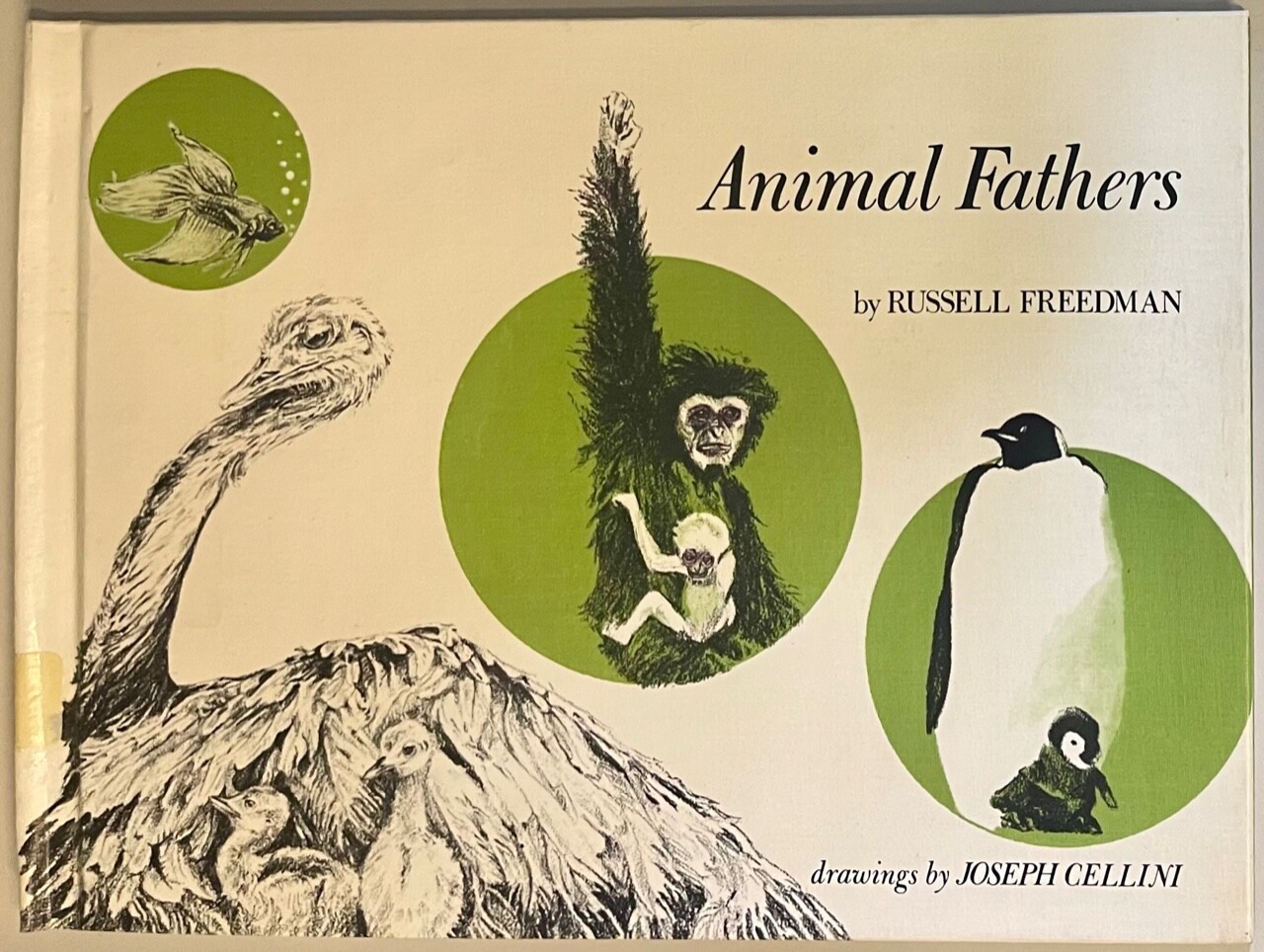 Animal Fathers 9780823402731| eBay