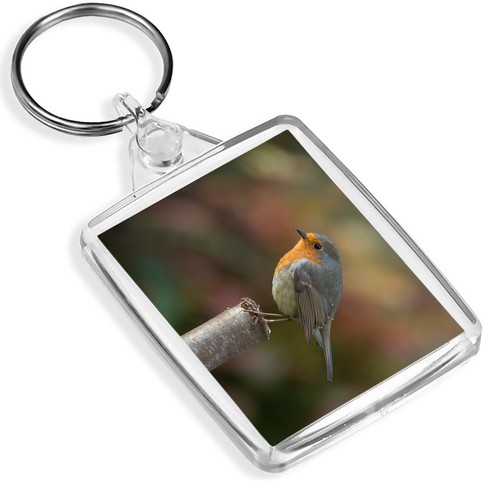 Pretty Red Robin Keyring Bird Garden Wild Mum Auntie Gran Keyring Gift ...