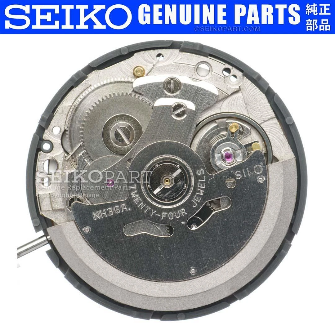 Skx007 Movement | ppgbbe.intranet.biologia.ufrj.br