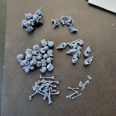 SKULLS AND BONES for miniature basing bits | eBay